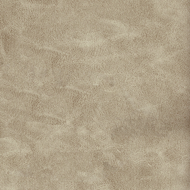 TOO GOOD TO BE TRUE - BUFF – Fabric Innovations