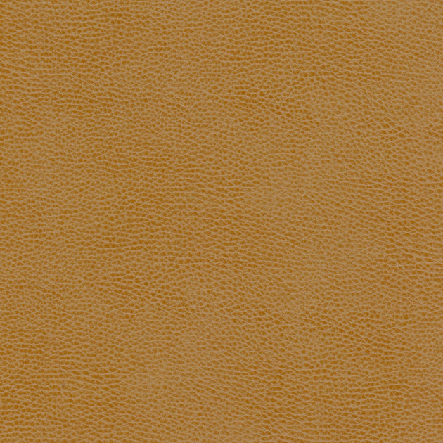 WANNA BE - CURRY – Fabric Innovations